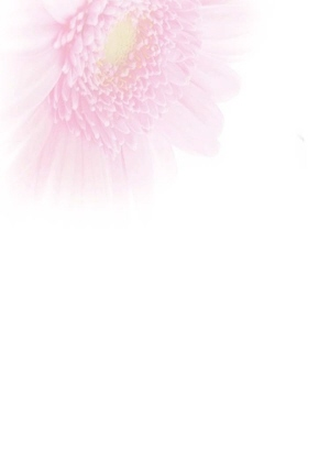 (속지)수줍은 분홍꽃