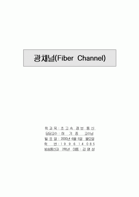 광채널(Fiber Channel)