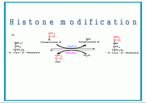Histone modification 연구의 역사