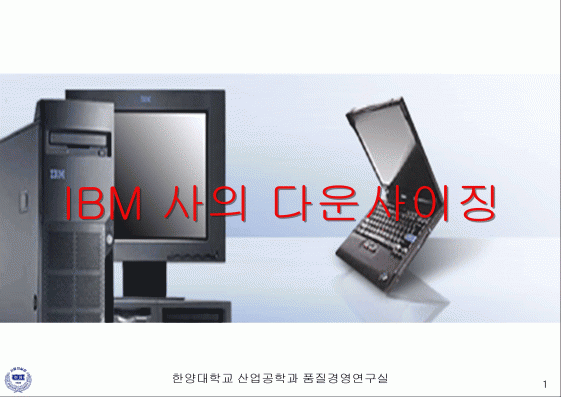 IBM 사의 다운사이징
