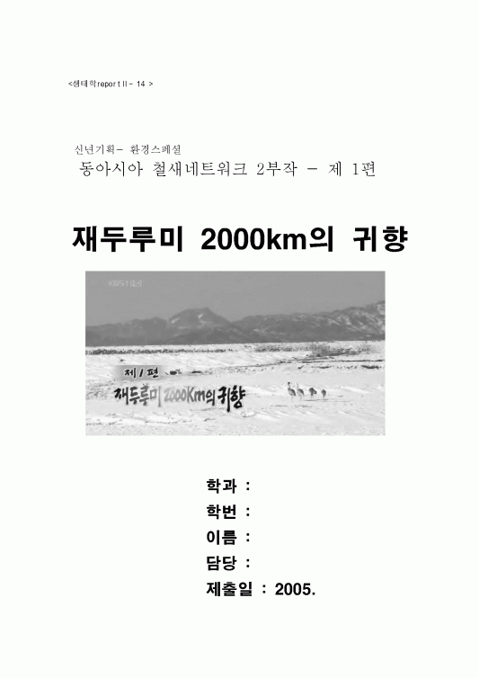 재두루미 2000km의 귀향 (동아시아 철새네트워크 2부작 - 제1편) - 환경스페셜 - 감상문