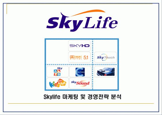 Skylife 마케팅 및 경영전략 분석