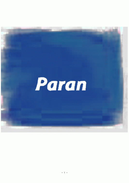 [인문과학] 파란(Paran)의 마케팅 전략 분석