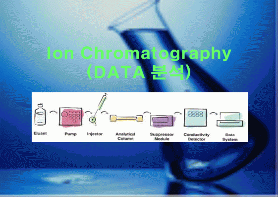 Ion Chromatography(DATA 분석)