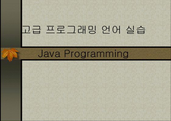 고급 프로그래밍 언어 실습 Java Programming