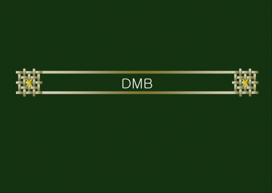 DMB(디지털멀티미디어방송)