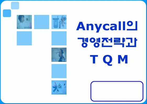 [사회과학] [경영전략과 TOM] Anycall의 경영전략과 TQM 분석 (총체적 품질관리론)