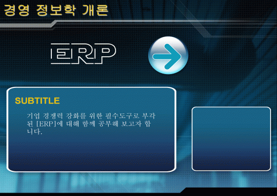 ERP 통합정보시스템