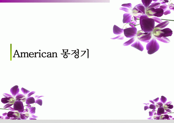 American(아메리칸) 몽정기