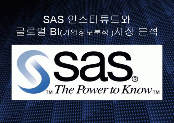 글로벌 BI(기업정보분석 )시장과 SAS 인스티튜트 -  분석 PPT