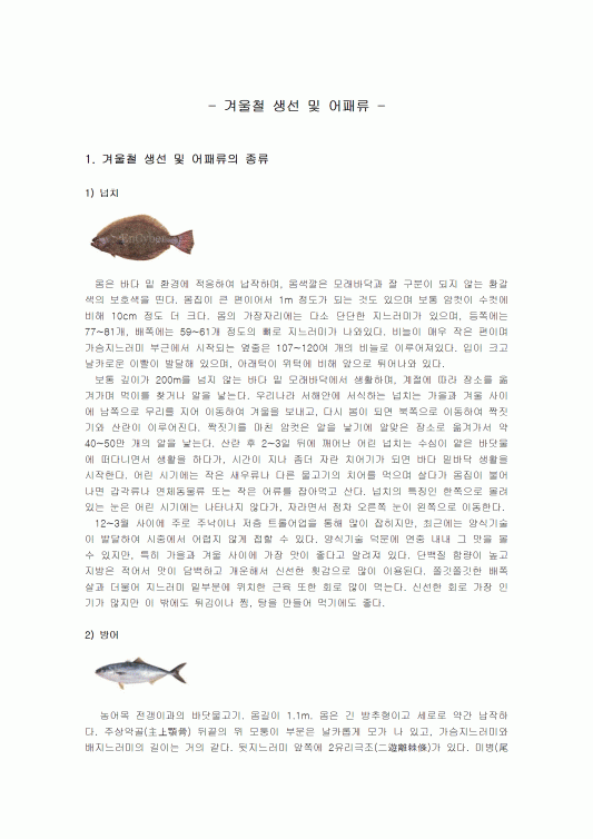 겨울철 생선 및 어패류의 특징 및 조리법