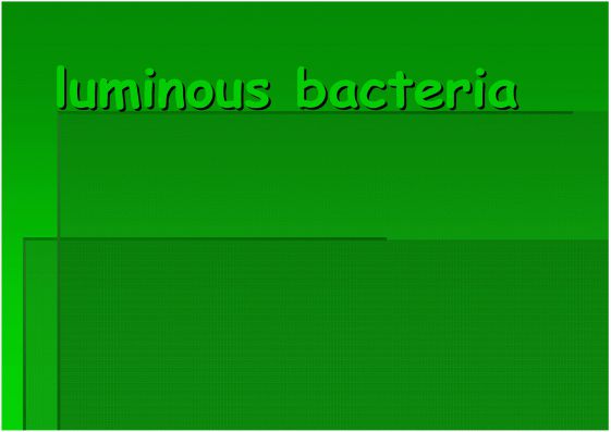 luminous bacteria