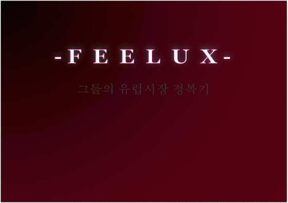 FEELUX(필룩스) 해외마케팅사례분석