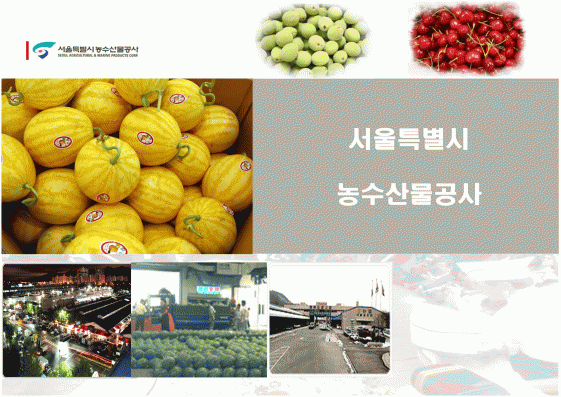 도시공기업론-서울시 농수산물공사 발표자료