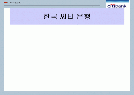 한국시티은행 발표자료
