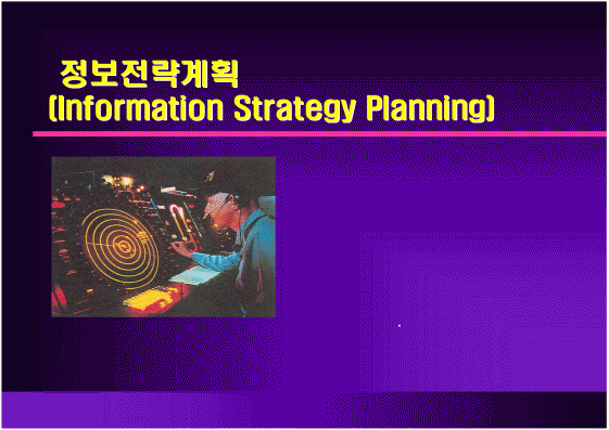 [사회과학] 정보전략계획