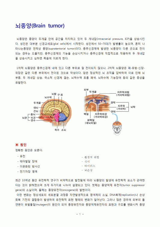 뇌종양(Brain tumor)