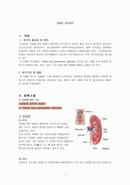 신농양 케이스 스터디 (renal abscess,신장내과)