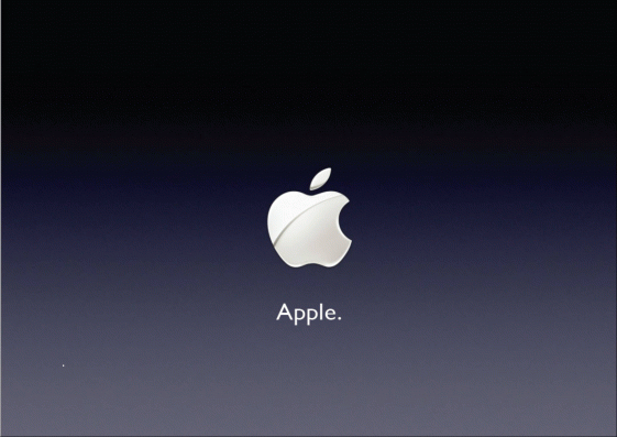 애플 기업분석 자료