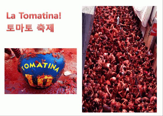 스페인 토마토축제