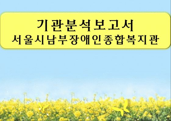 [기관분석보고서] 서울시남부장애인종합복지관
