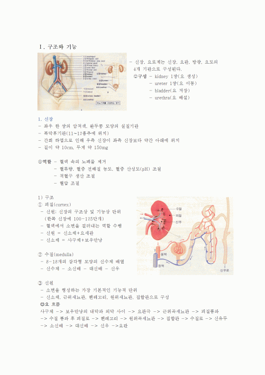 성간 비뇨기계 summary
