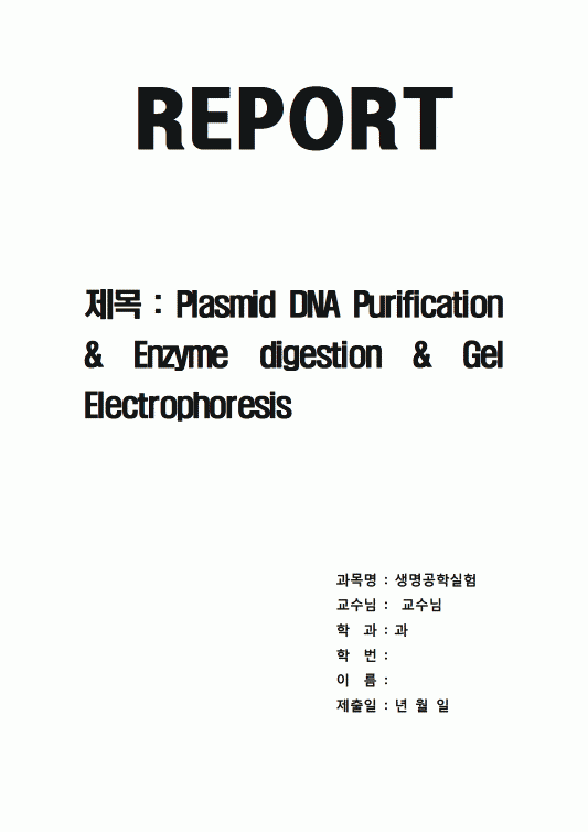 DNA정제 및 전기영동 (Plasmid DNA Purification & Enzyme digestion & Gel Electrophoresis)