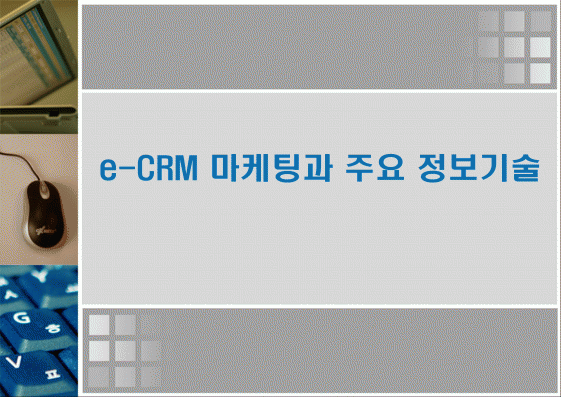 e-CRM 마케팅과 주요 정보기술
