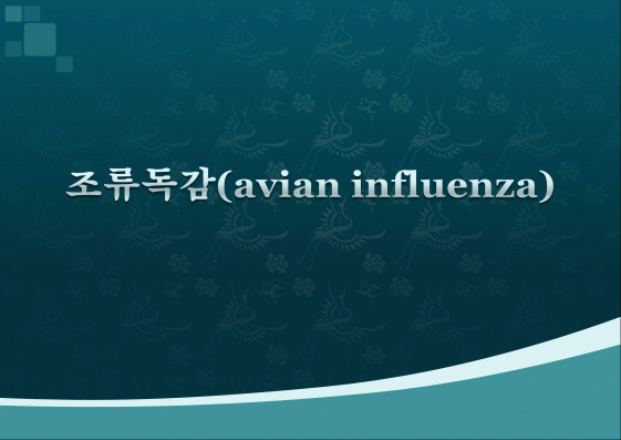 조류독감 (avian influenza).PPT자료