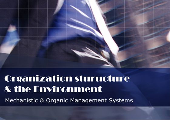 Organization sturucture & the Environment - Mechanistic & Organic Management Systems.PPT자료