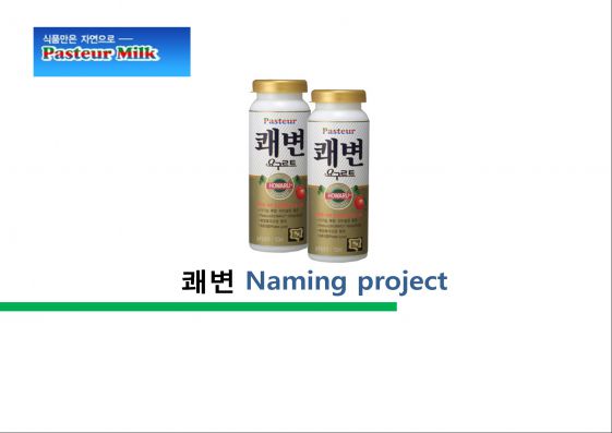 쾌변 Naming project - 리네이밍,리네임,뉴네이밍,쾌변.PPT자료