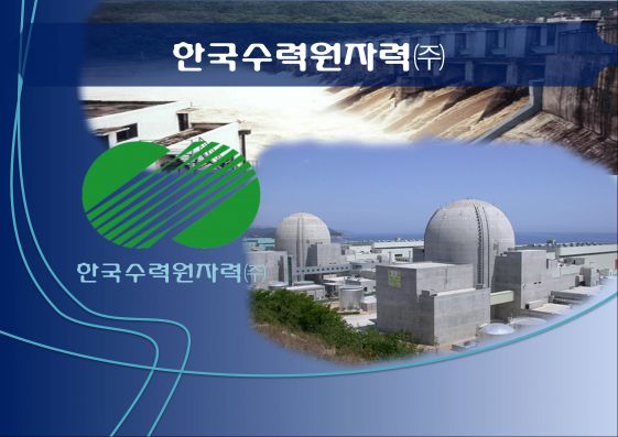 한국수력원자력,한국수력원자력기업분석,한국수력원자력경영전략,한수원,한수원기업분석