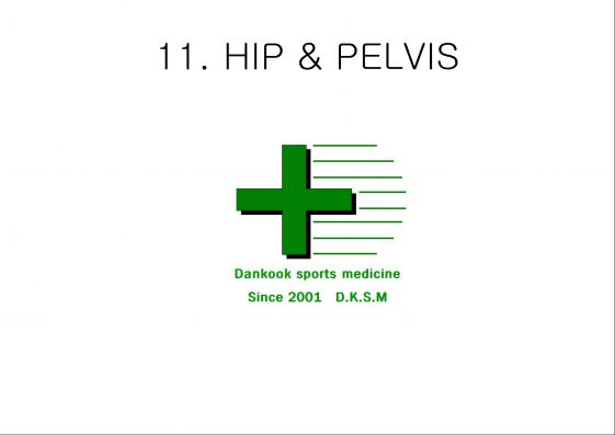HIP & PELVIS