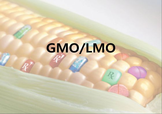 GMO, LMO에 관한 조별과제, GMO의 장점 단점, LMO의 장점 단점, 사례, GMO 현황, 유전자 변형 방법
