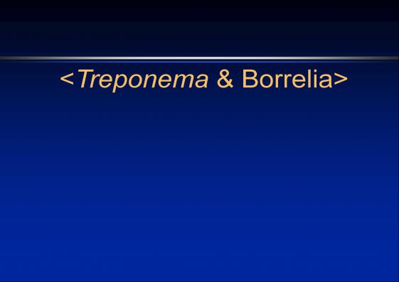 (A+ 팀발표, 조발표) Treponema에 관한 모든 것! 「Treponema & Borrelia」 - 매독.ppt