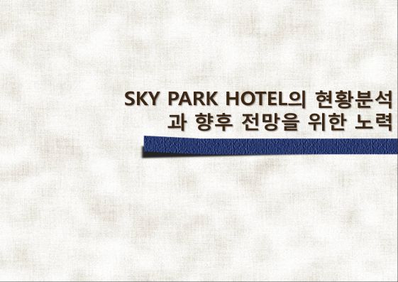 [관광마케팅,호텔분석] SKY HOTEL 분석 - SKY PARK HOTEL(스카이파크 호텔)의 현황분석과 향후 전망을 위한 노력.pptx