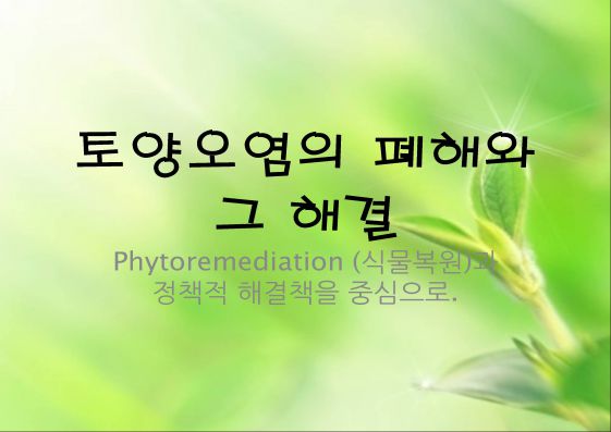 토양오염의 폐해와 그 해결 - Phytoremediation (식물복원)과 정책적 해결책을 중심으로.pptx