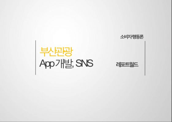 소비자행동론 - 부산관광, App 개발, SNS