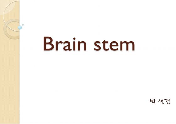 Brain stem의 전반적인 기능 및 역활