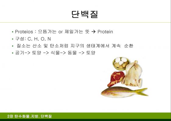 단백질의 종류 및 구조