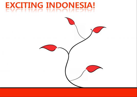 인도네시아 환경인도네시아 경제적 환경인도네시아 경제동향인도네시아 유망산업 및 진출전략인도네시아 사회적 환경