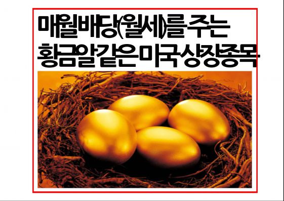 매월 배당(월세)를 주는 황금알 같은 미국 상장종목.pptx