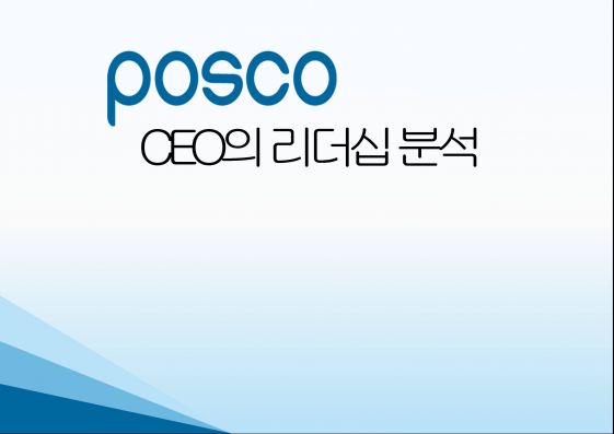 포스코CEO의리더십분석,기업소개,리더십분석,문제점및해결방안