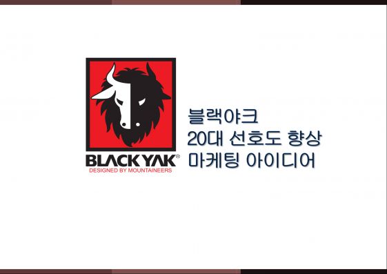 블랙야크 마케팅,블랙야크 스포츠,블랙야크 아웃도어시장,블랙야크 성공사례,블랙야크 전략