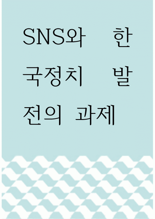 정치학 ) SNS와 한국정치 발전의 과제