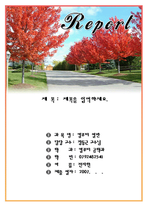 가을 단풍 가로수길