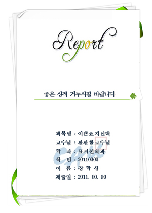 중앙대학교 레포트표지