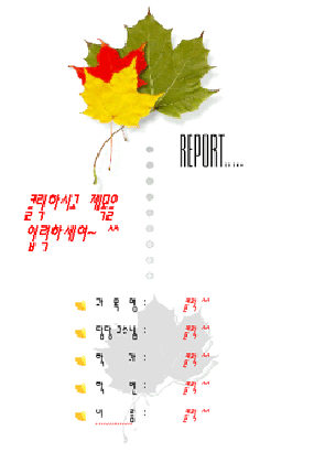 미려한 가을의 느낌을