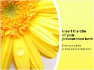 Sunflower PPT 템플릿 (파워포인트 배경)