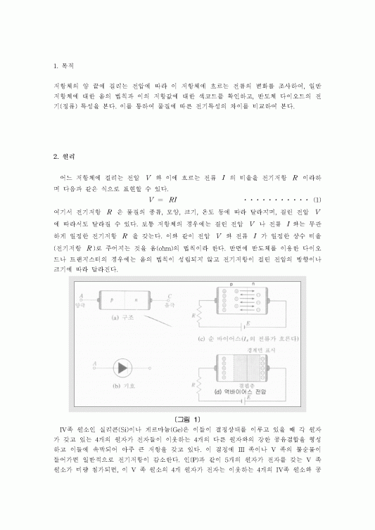 [일반물리]전기저항